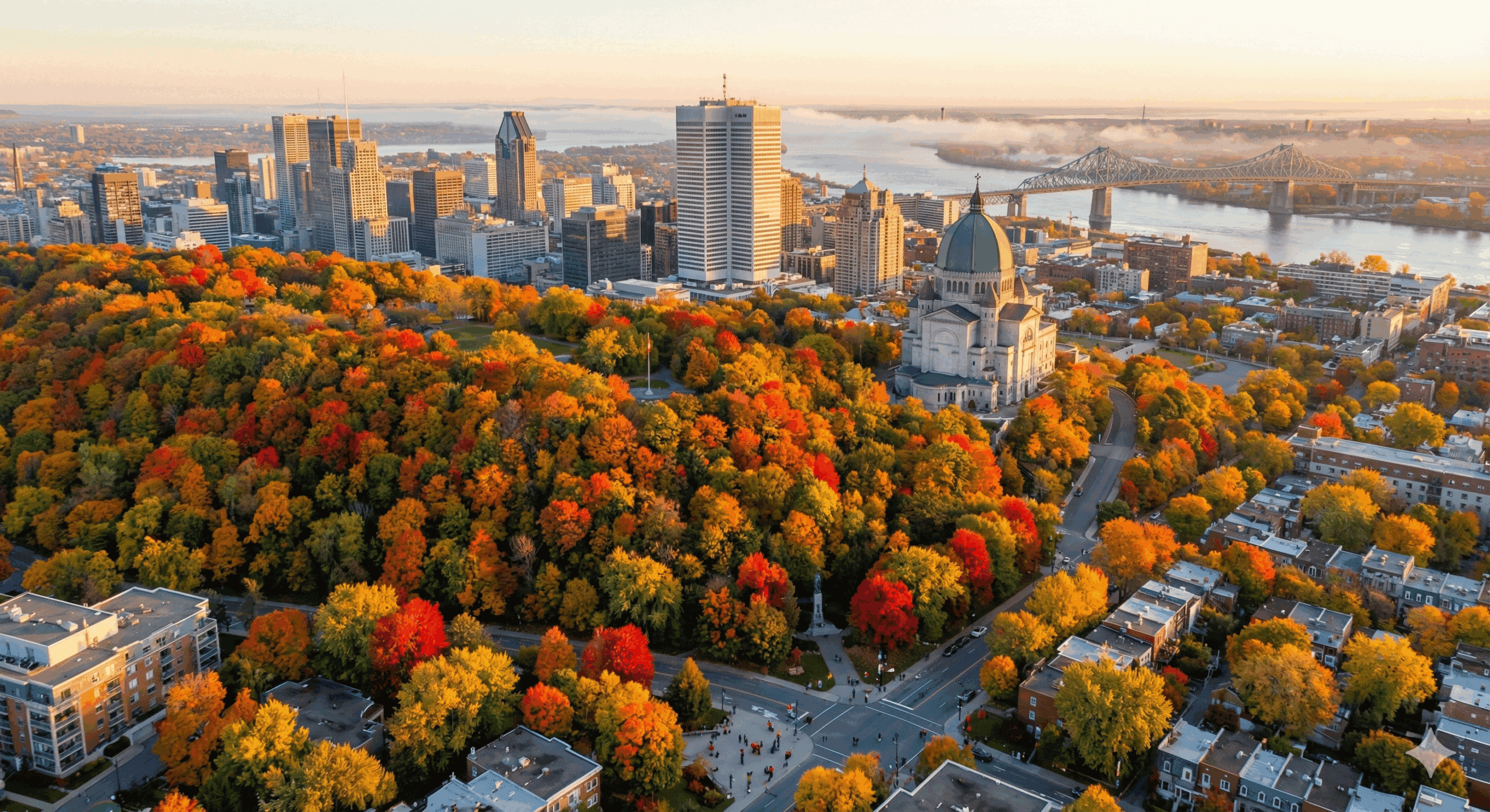 Montréal Tourism: Resilience, Growth, and a Landmark Year for Canada’s ...